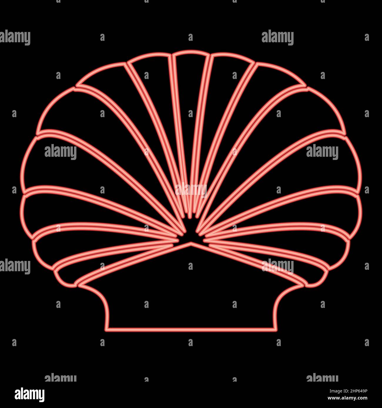 Sea shell illustration Stock Vector Images - Alamy