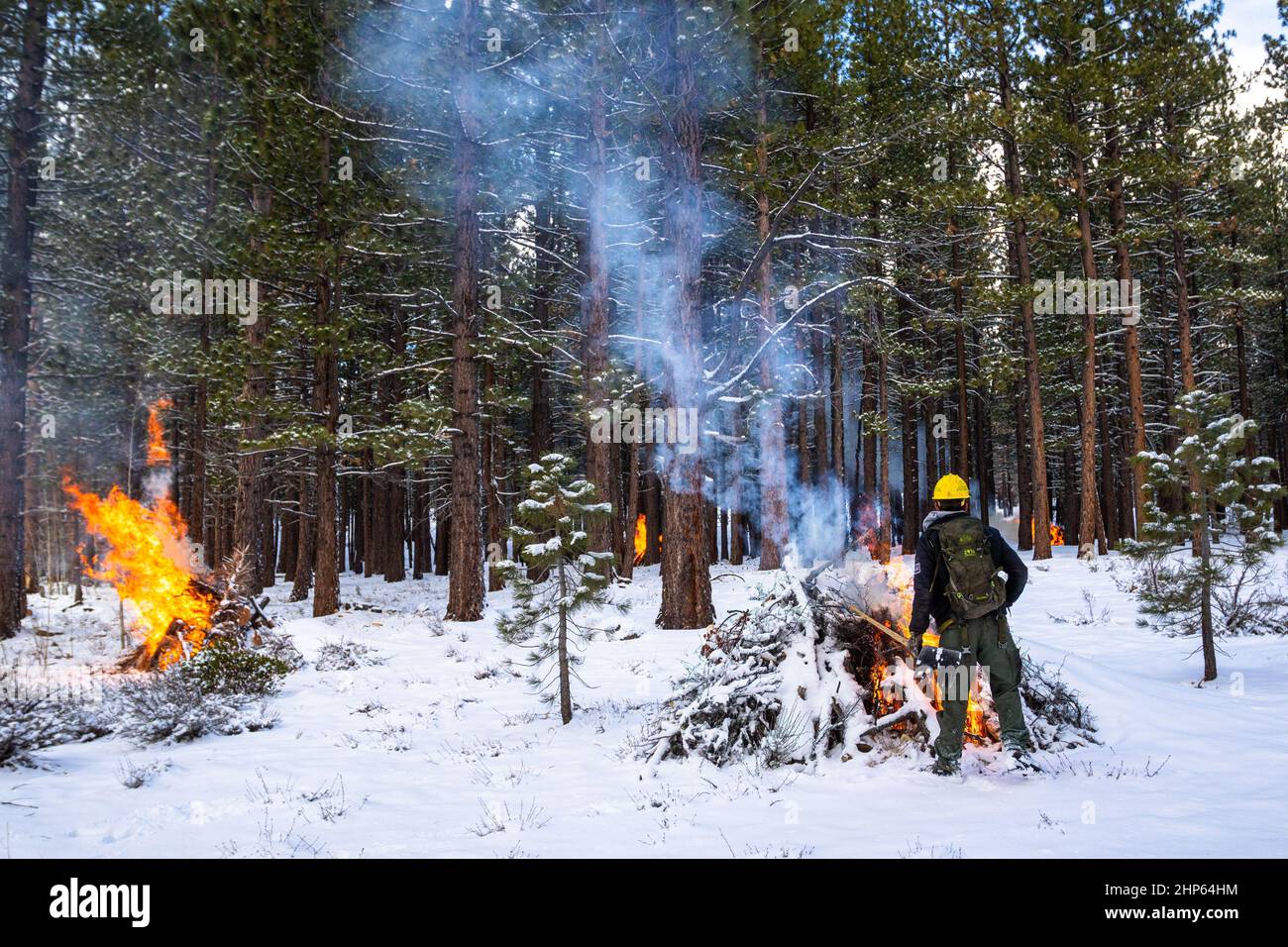 Ryan Bell monitors burning wood piles. The U.S. Forest Service ...