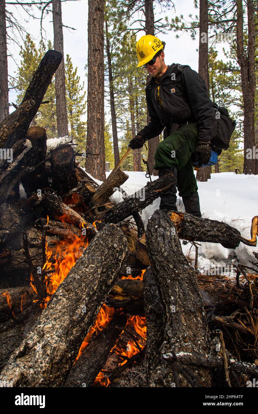 Verdi, Nevada, USA. 15th Feb, 2022. Dylan Todd works on a burning pile ...