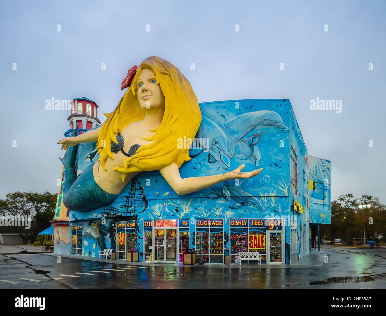 Mermaid Store Florida