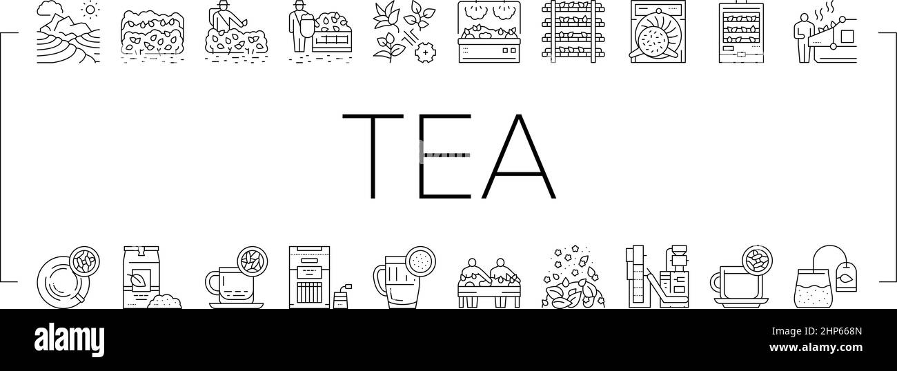 Tea Drink Production Collection Icons Set Vector Stock Vector Image ...