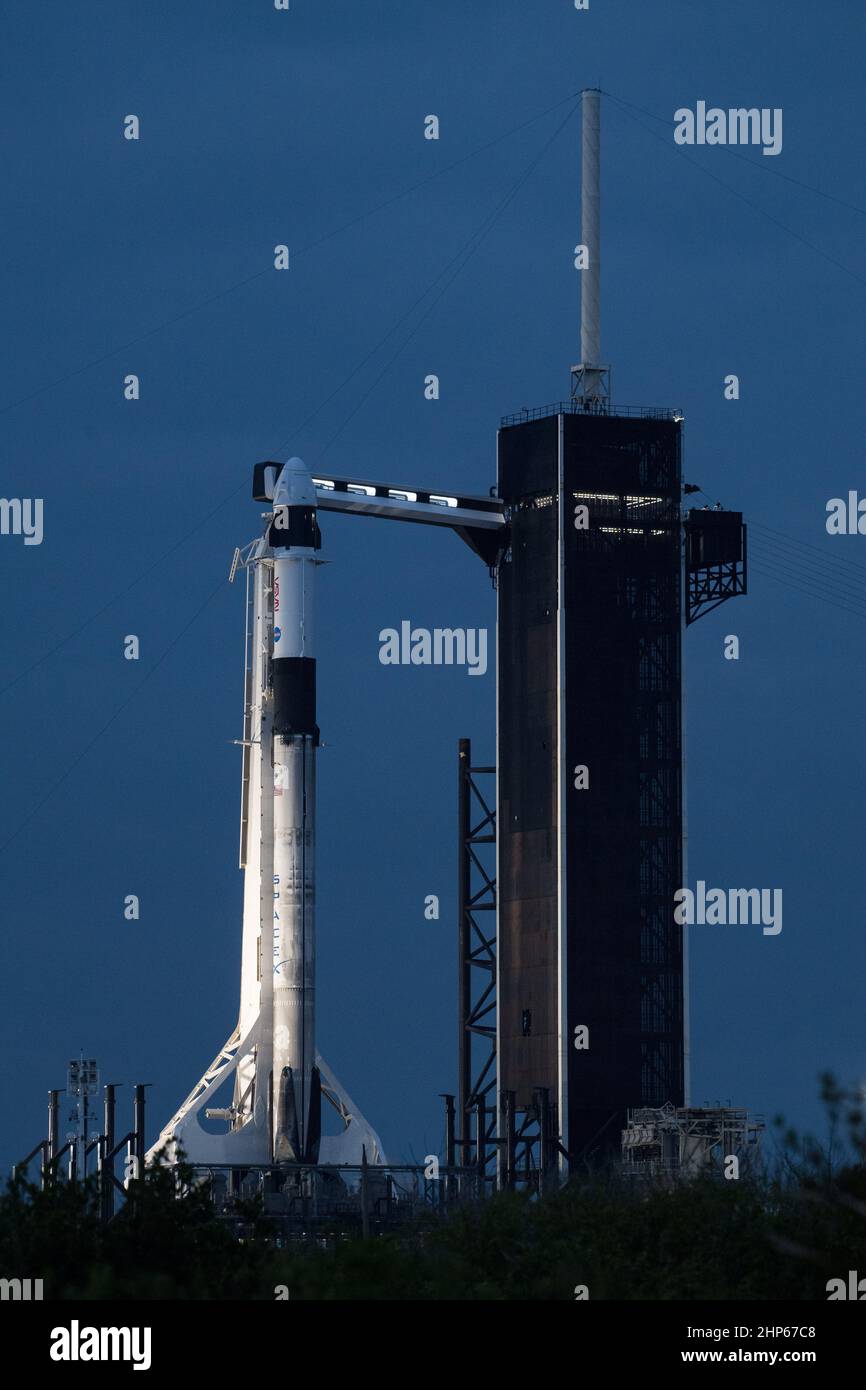 Spacex Dragon Rocket Logo