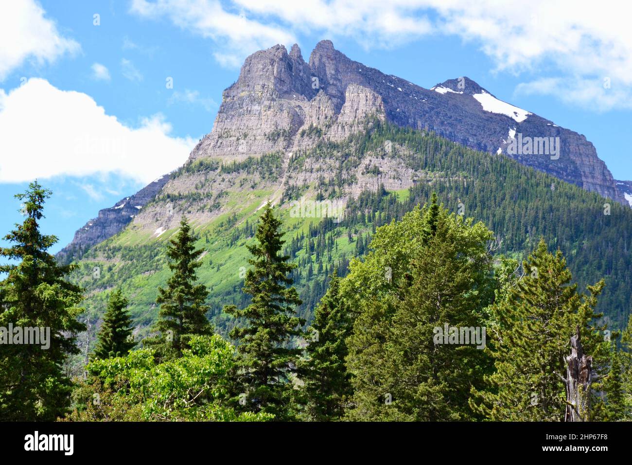 Citadel Peaks rising above the treetops at Glacier National Park during ...
