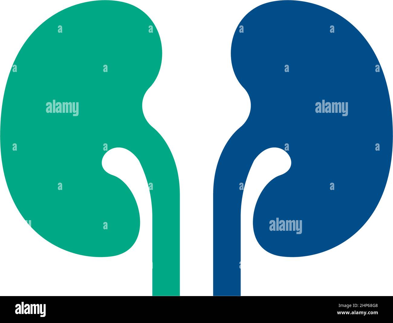 Urology logo, kidney logo icon healty template Stock Vector Image & Art ...