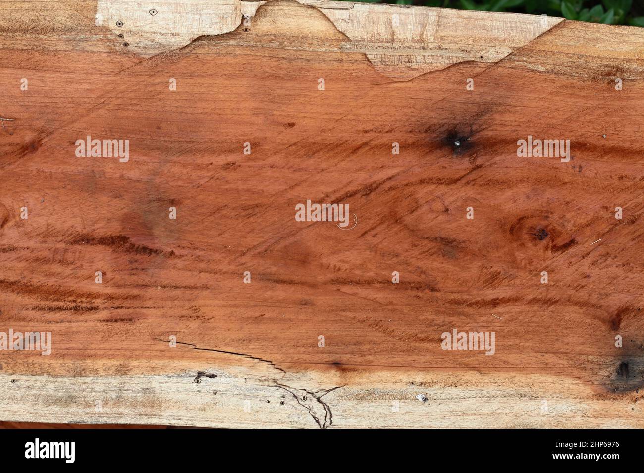 Wood texture of Samanea saman tree Stock Photo - Alamy