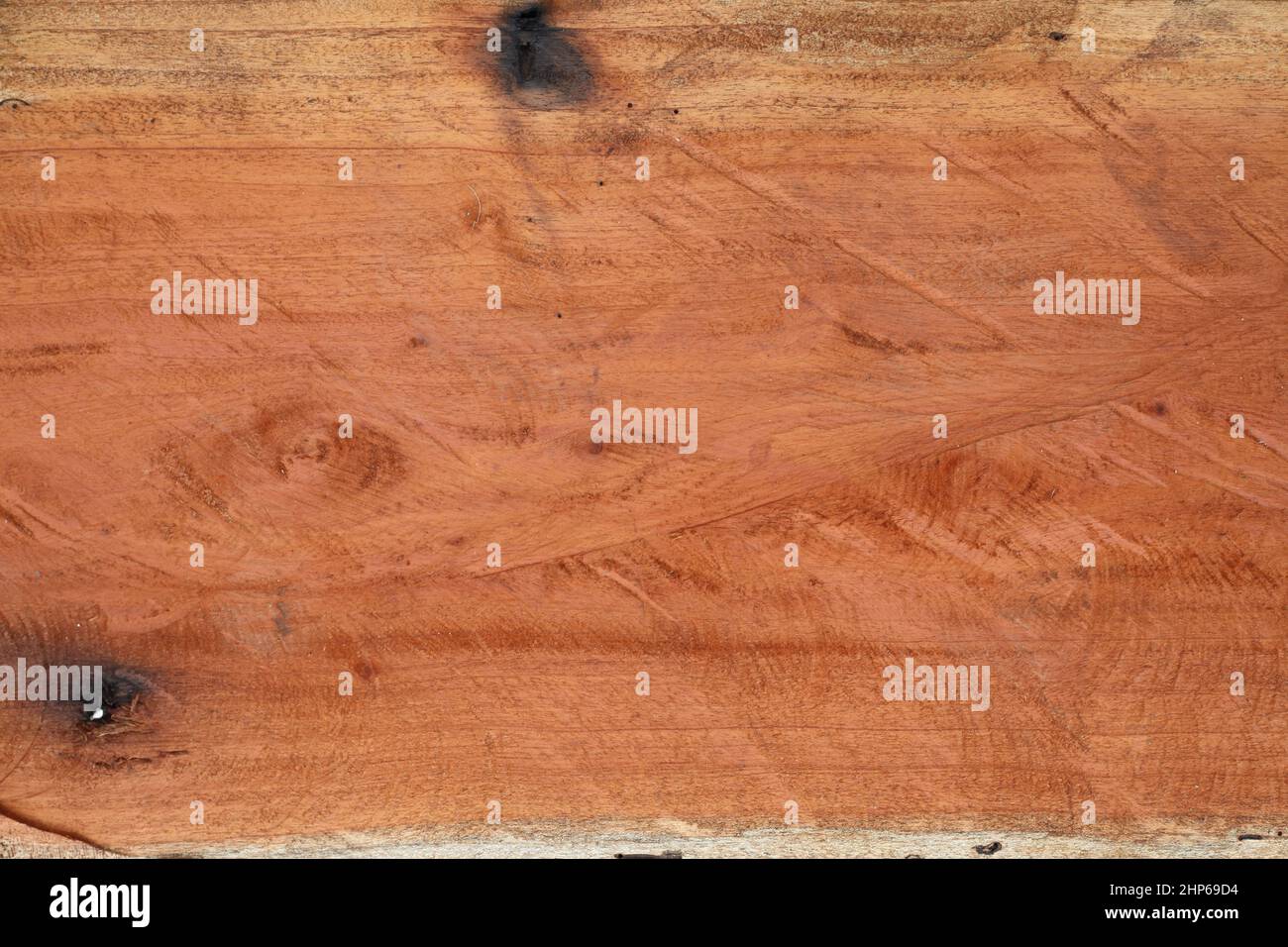 Wood texture of Samanea saman tree Stock Photo - Alamy