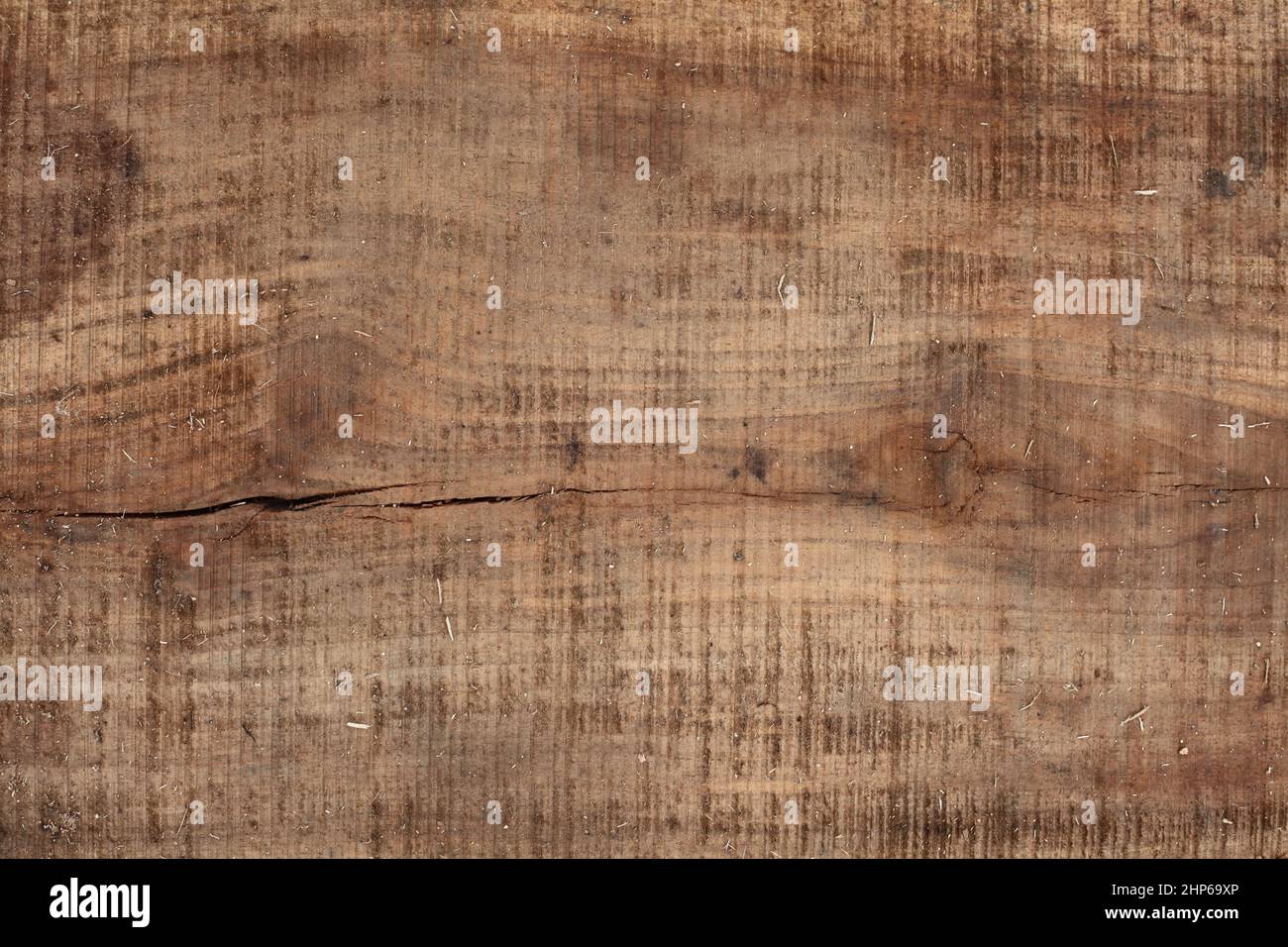 Wood texture of Samanea saman tree Stock Photo - Alamy