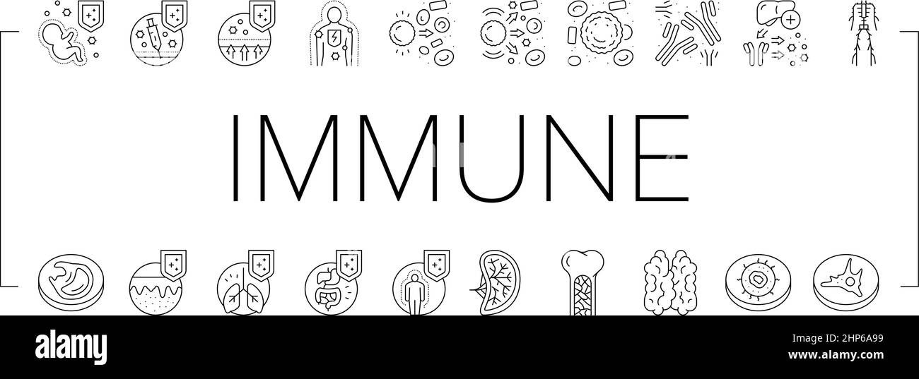 Immune System Disease And Treat Icons Set Vector Stock Vector Image ...