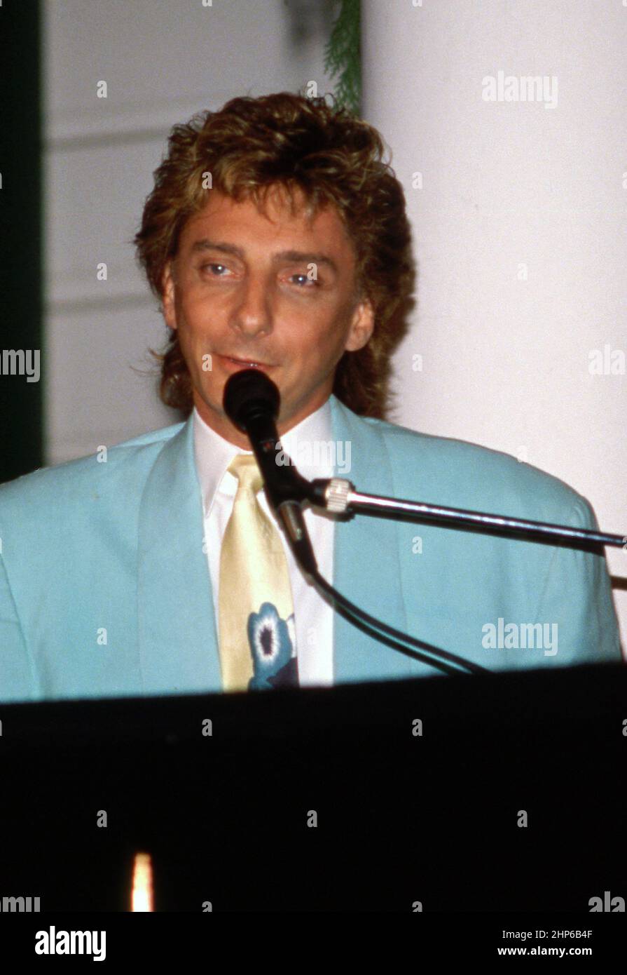 Barry Manilow Circa 1980's Credit: Ralph Dominguez/MediaPunch Stock ...