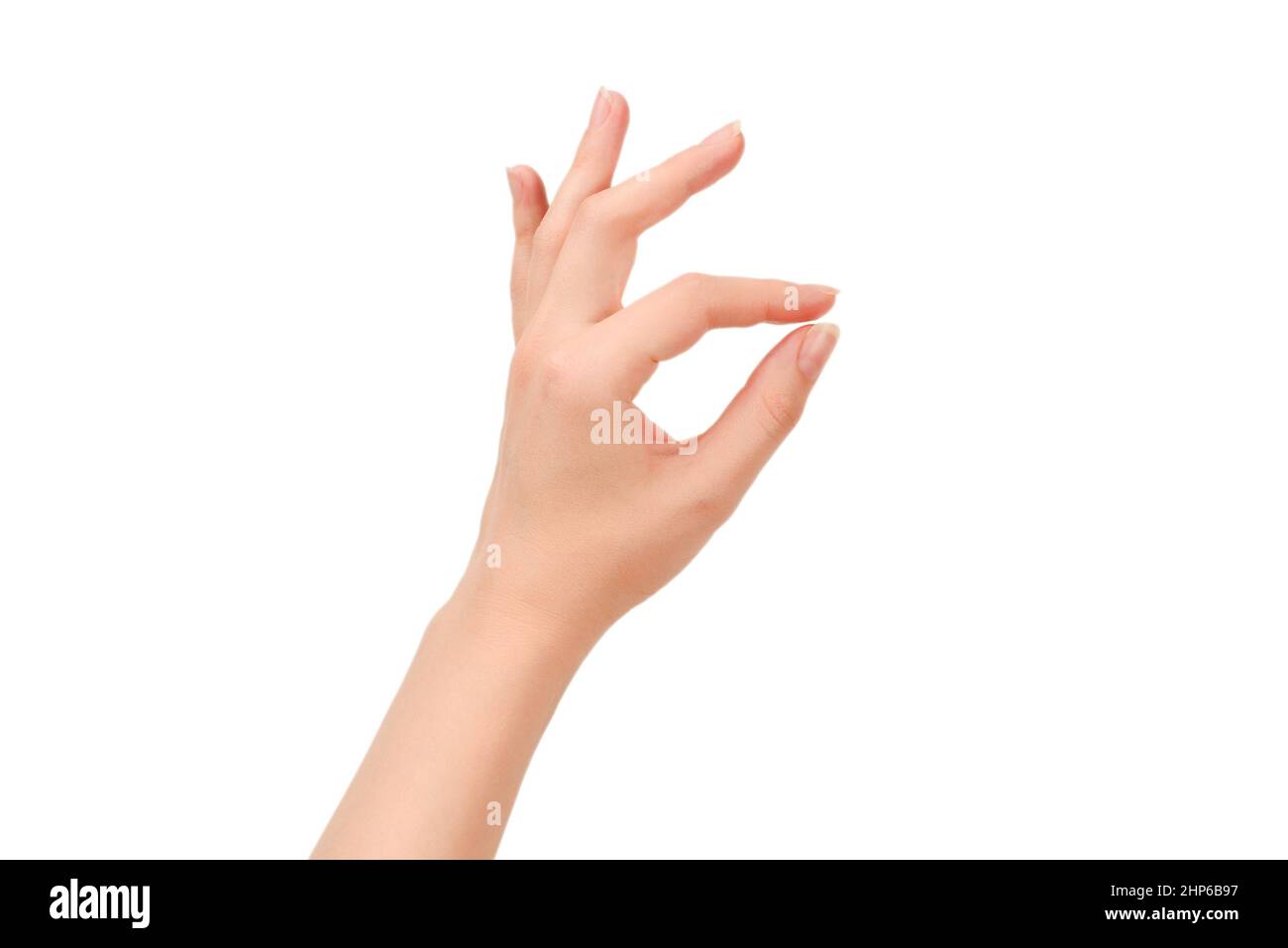 Hand of woman hold something isolated on white Stock Photo - Alamy