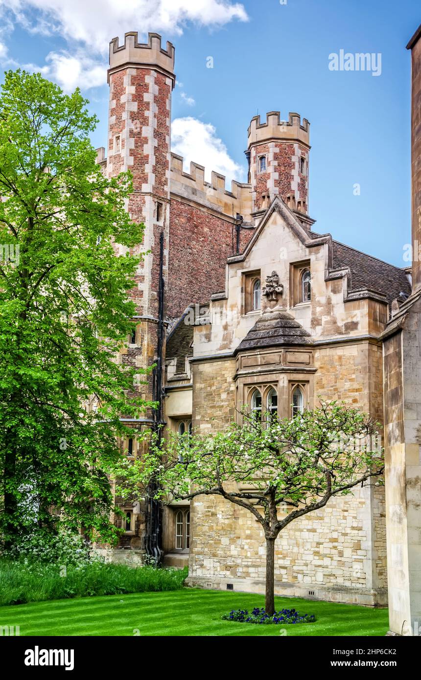 Trinity college apple tree hi-res stock photography and images - Alamy