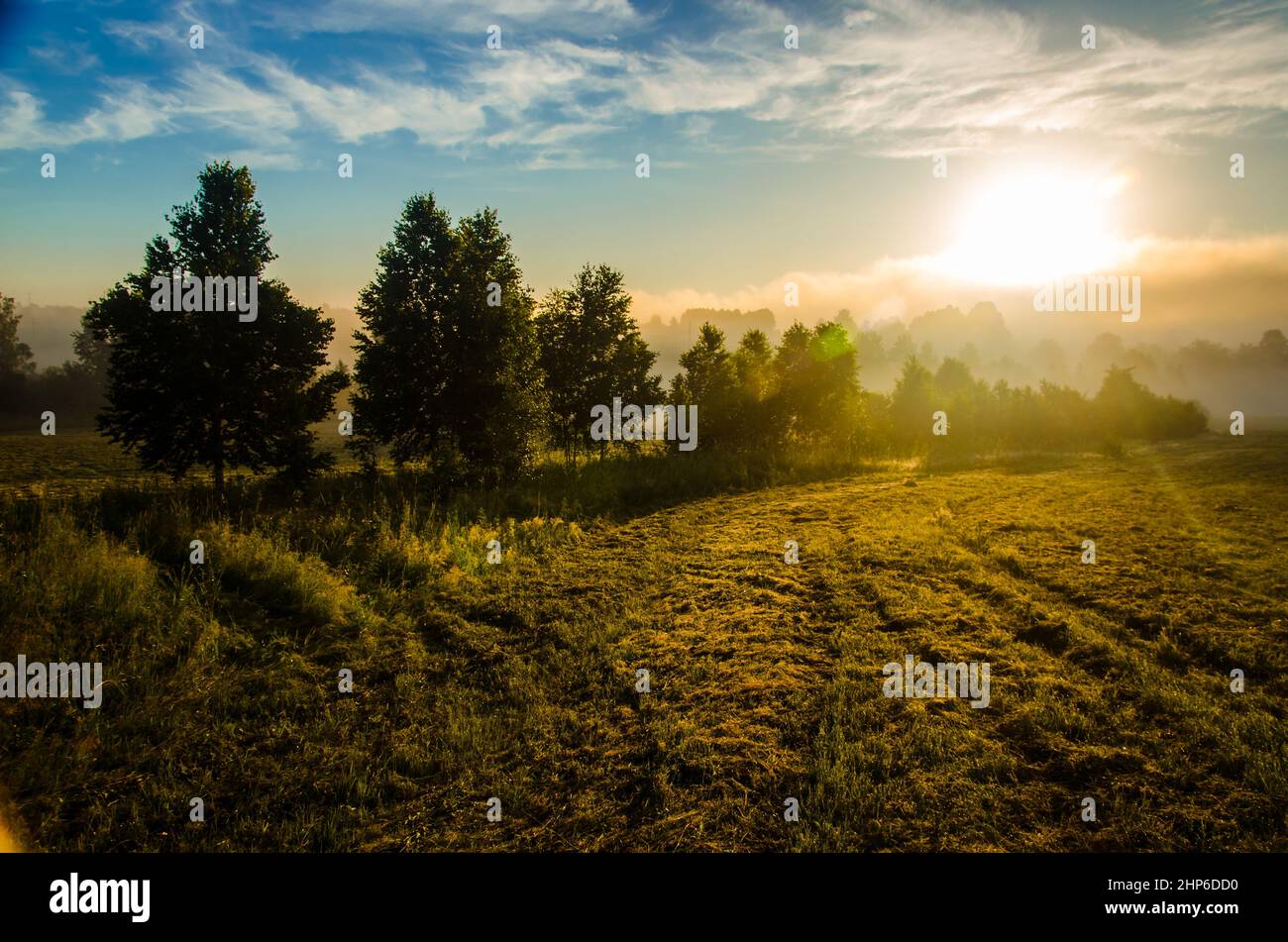 rural road on a warm summer morning Stock Photo - Alamy