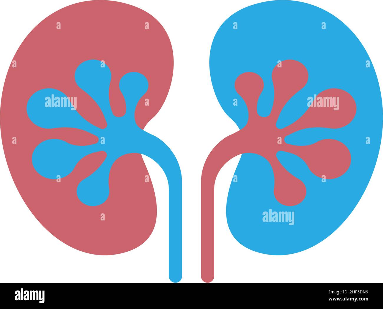 Urology logo, kidney logo icon healty template Stock Vector Image & Art ...