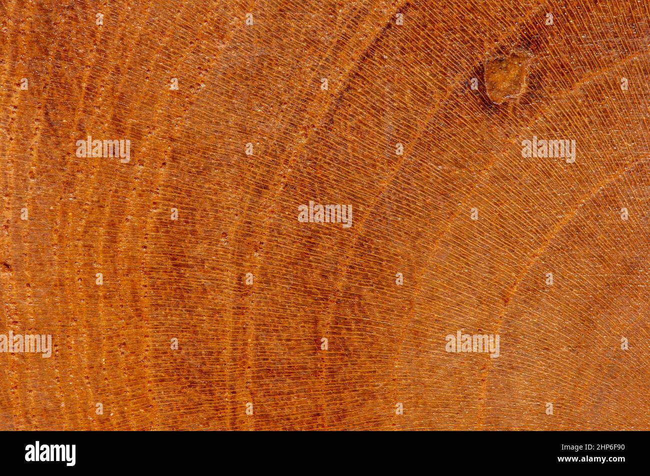 Nature pattern of teak wood surface for background Stock Photo - Alamy