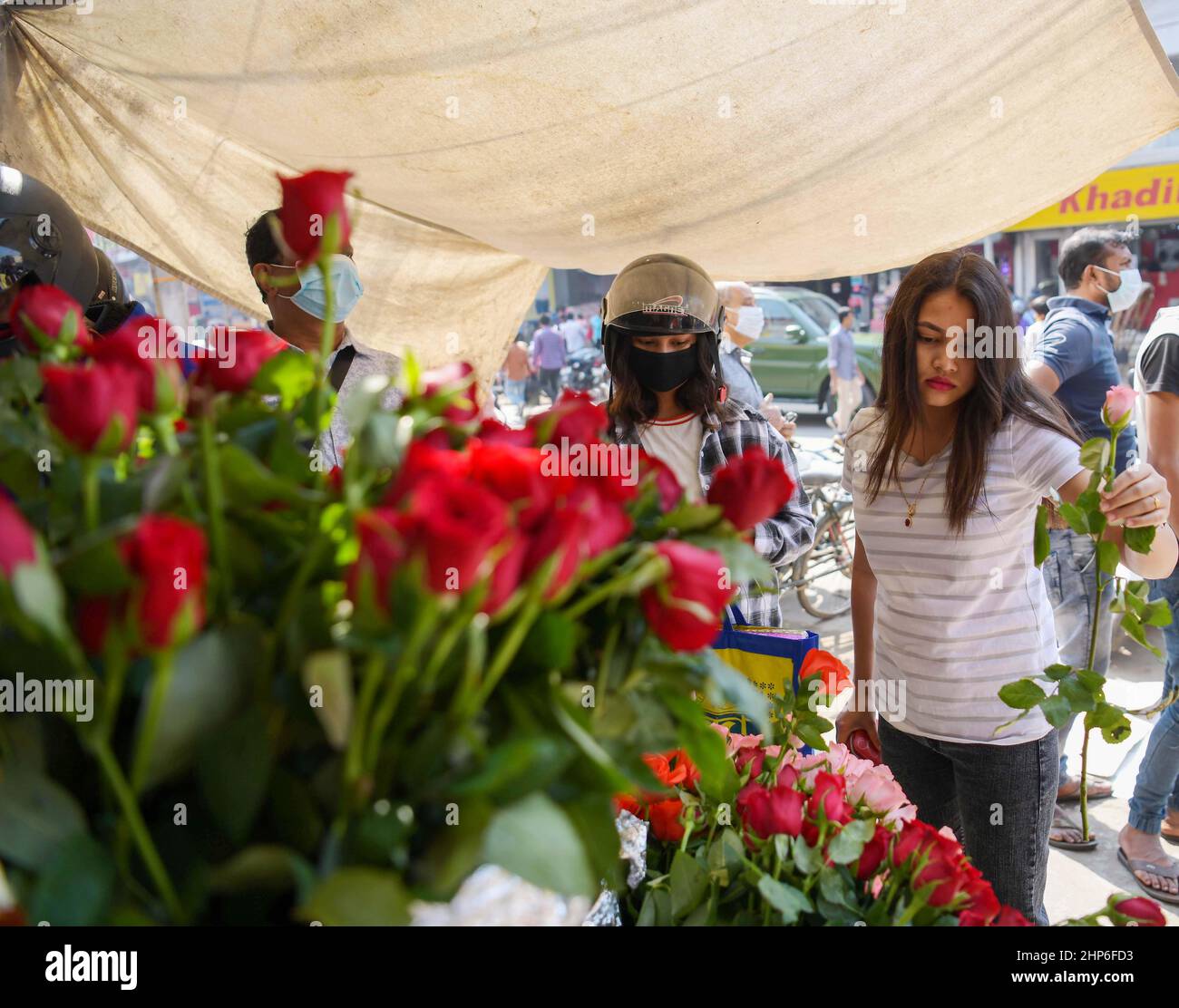 People buying red roses on Valentine’s Day in Agartala. Tripura, India ...