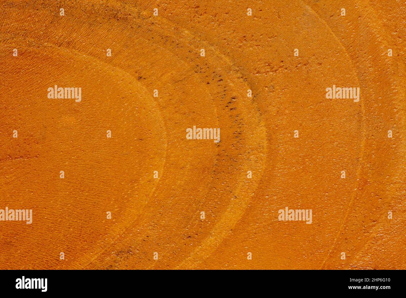 Nature pattern of teak wood texture for background Stock Photo - Alamy