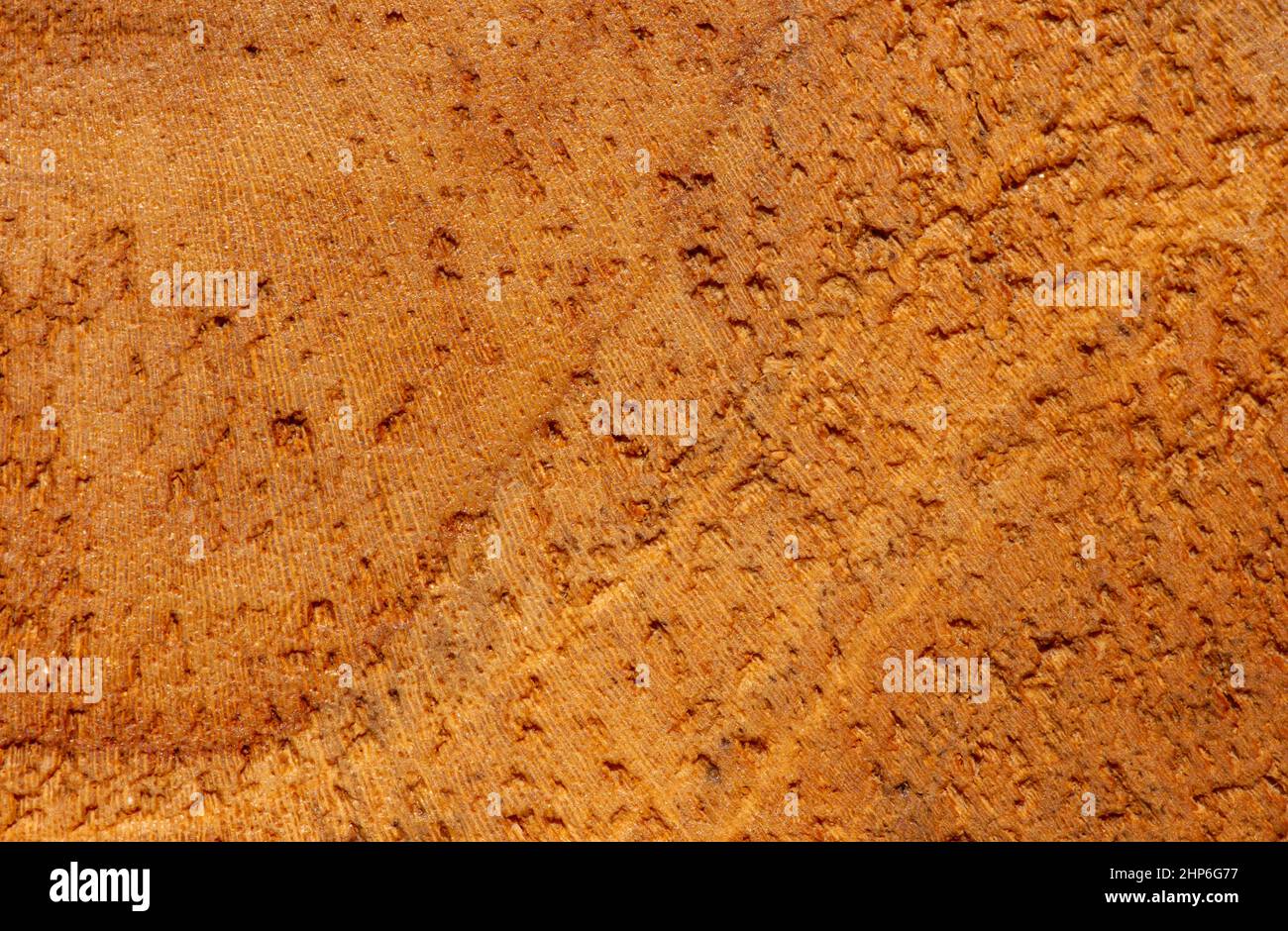 Nature pattern of teak wood surface for background Stock Photo - Alamy