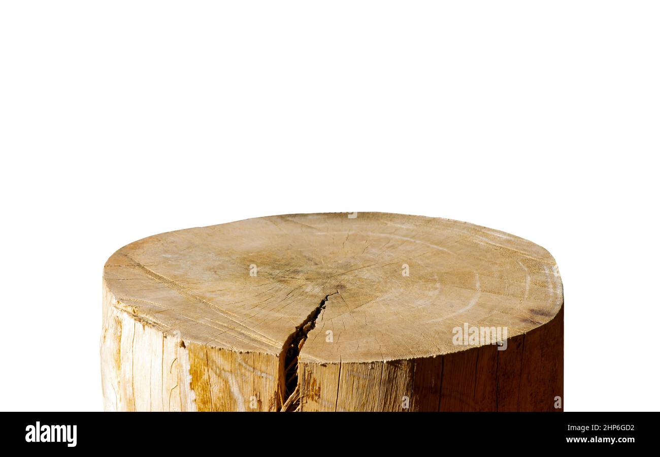 Round wooden saw cut cylinder shape for product display, isolated on ...