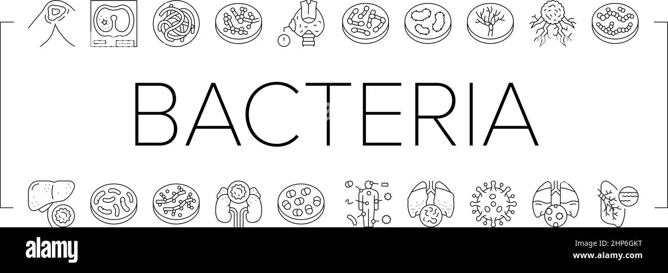 Bacteria Infection Collection Icons Set Vector Stock Vector Image & Art ...