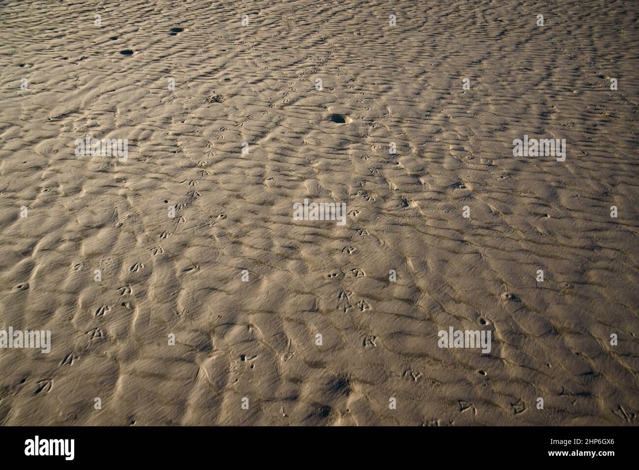Sand patterns at low tide Stock Photo - Alamy