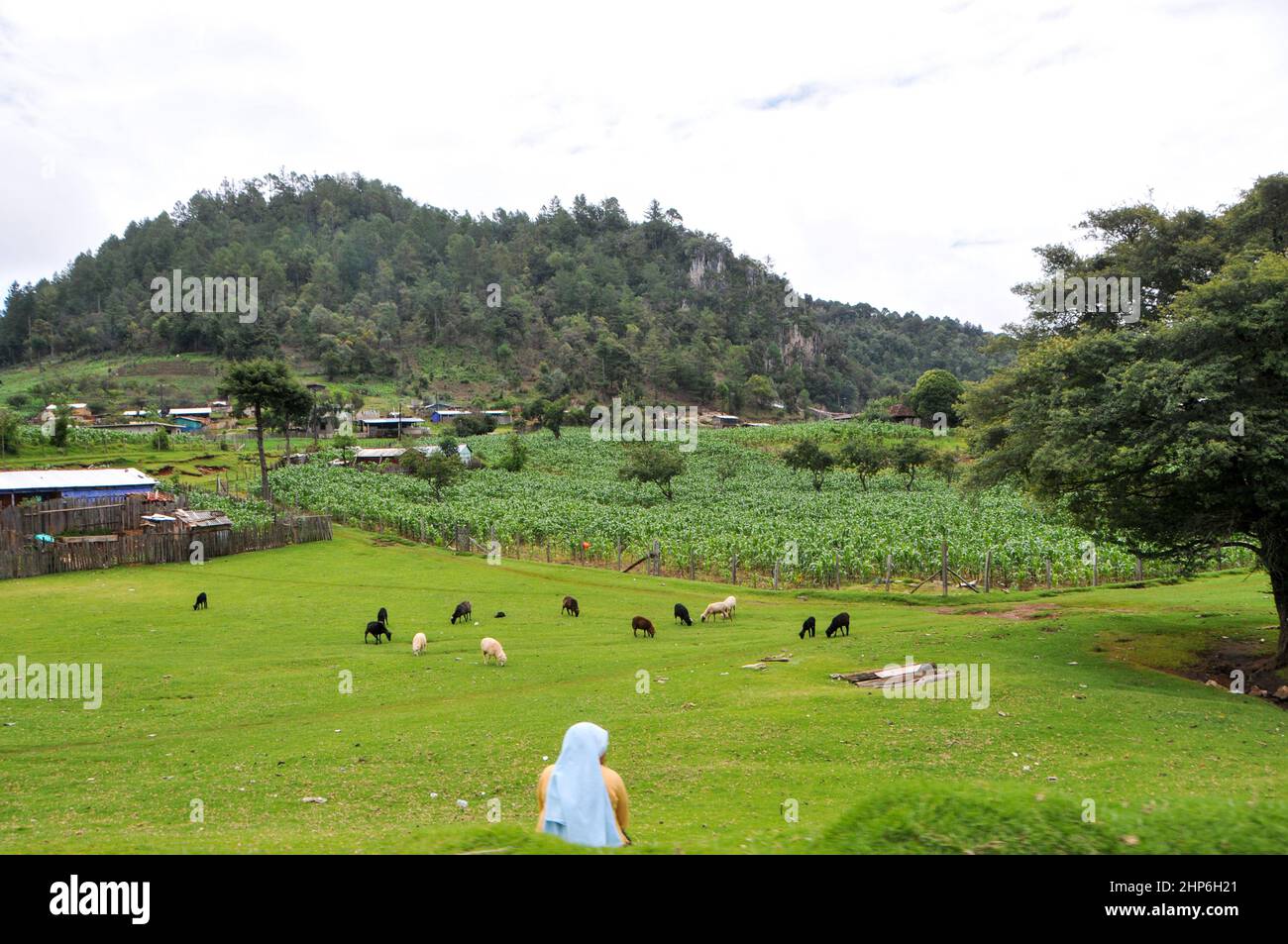 Indegiounes country of Chiapas, Mexico landscapes and still life Stock ...