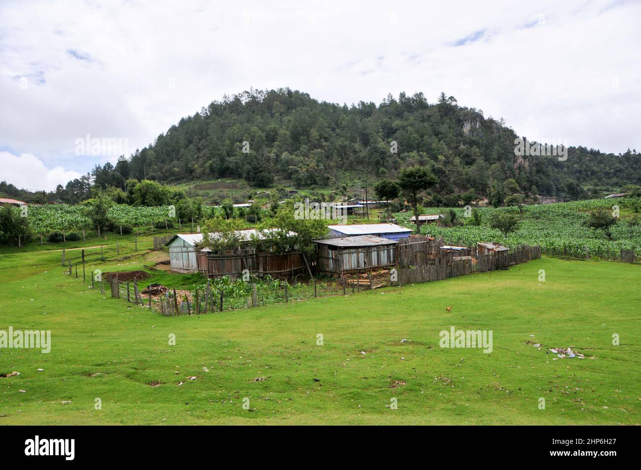 Indegiounes country of Chiapas, Mexico landscapes and still life Stock ...