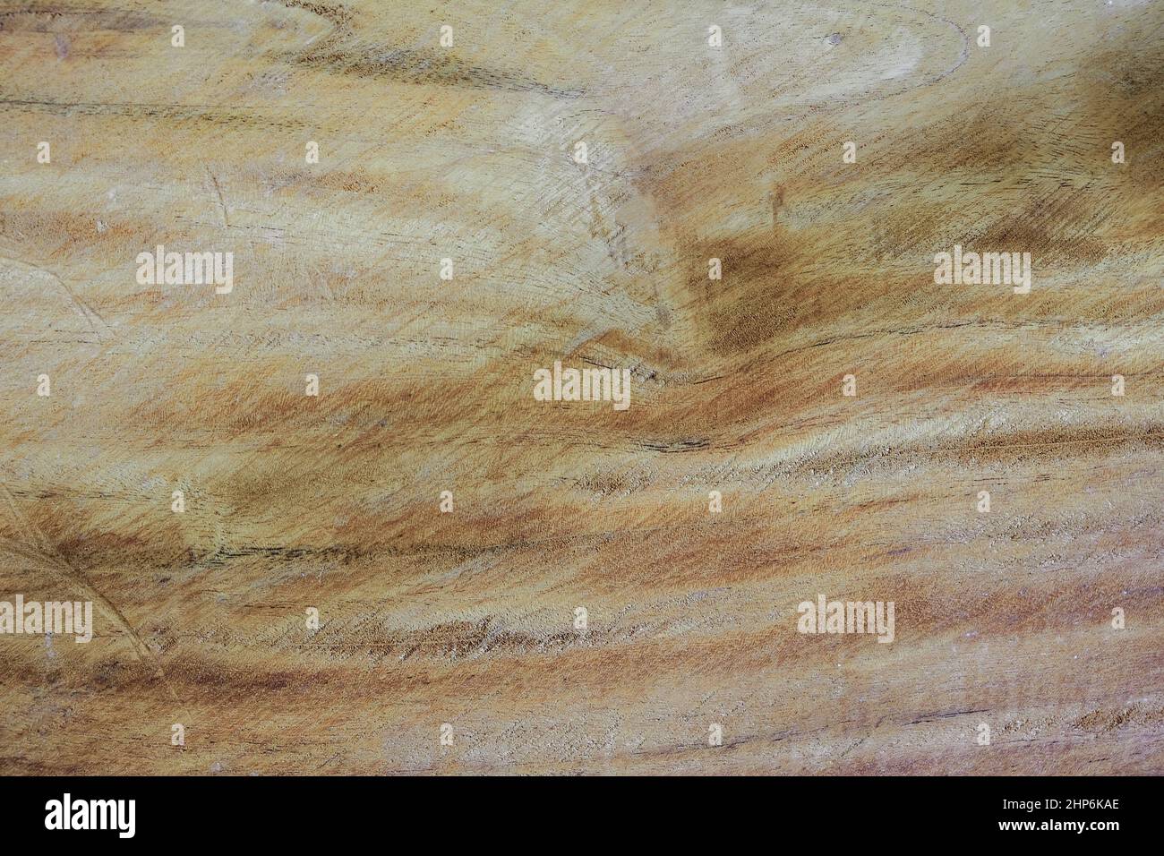 Close-up large hardwood plank with detail, texture and pattern of skin ...