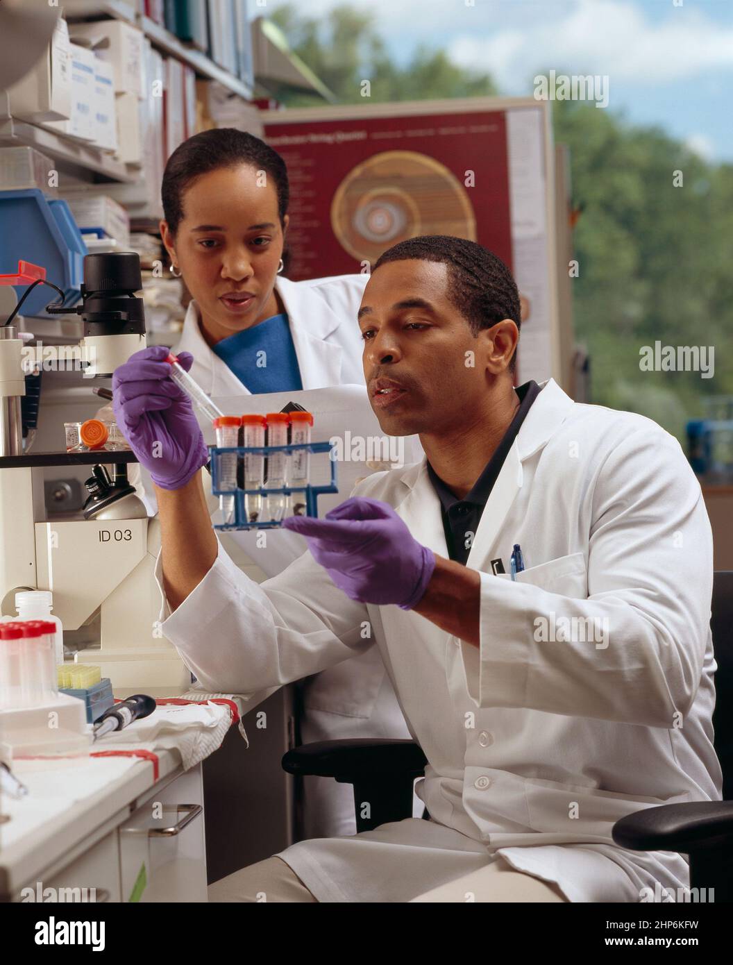 An African American male researcher checks test tubes as an ...
