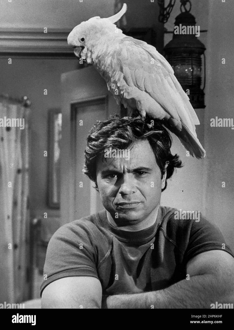 Photo of Robert Blake as Baretta and Fred from the television program Baretta ca. 1975 Stock ...