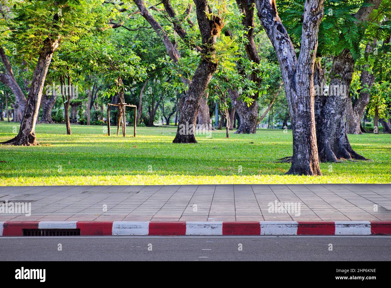 Close-op footpath on top with trees on public park to help create shade ...