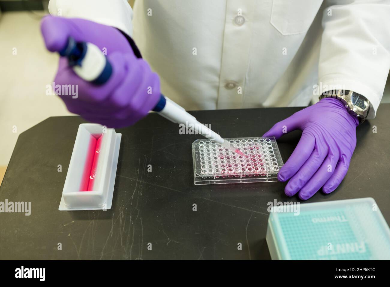 Well plates with compounds hi-res stock photography and images - Alamy