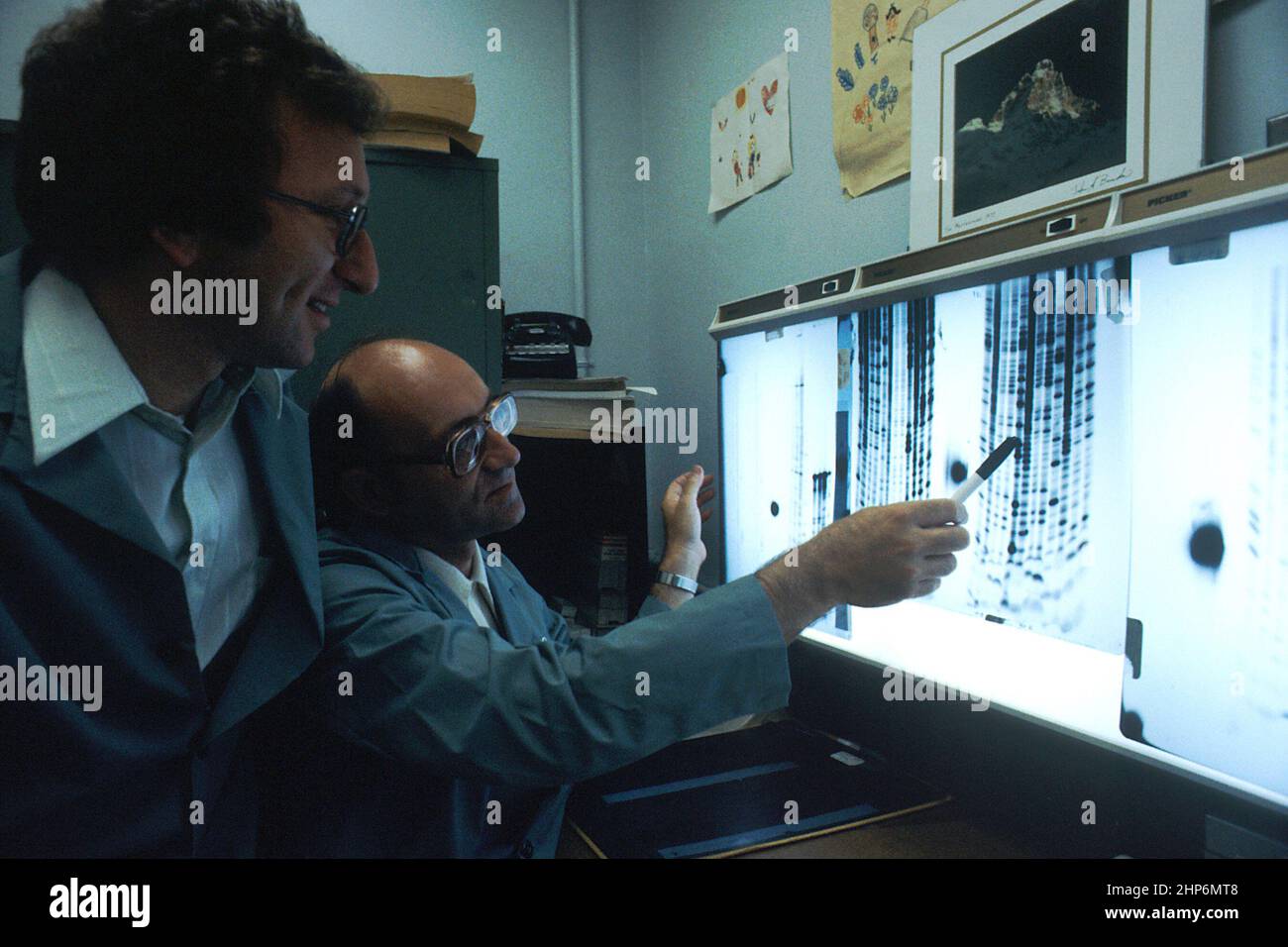 Two male scientists wearing lab coats in a laboratory looking at a ...