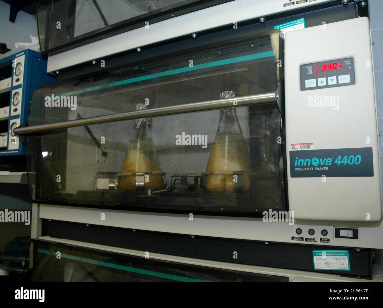 Erlenmeyer culture flasks are rotating in an incubator shaker ca. 3 ...