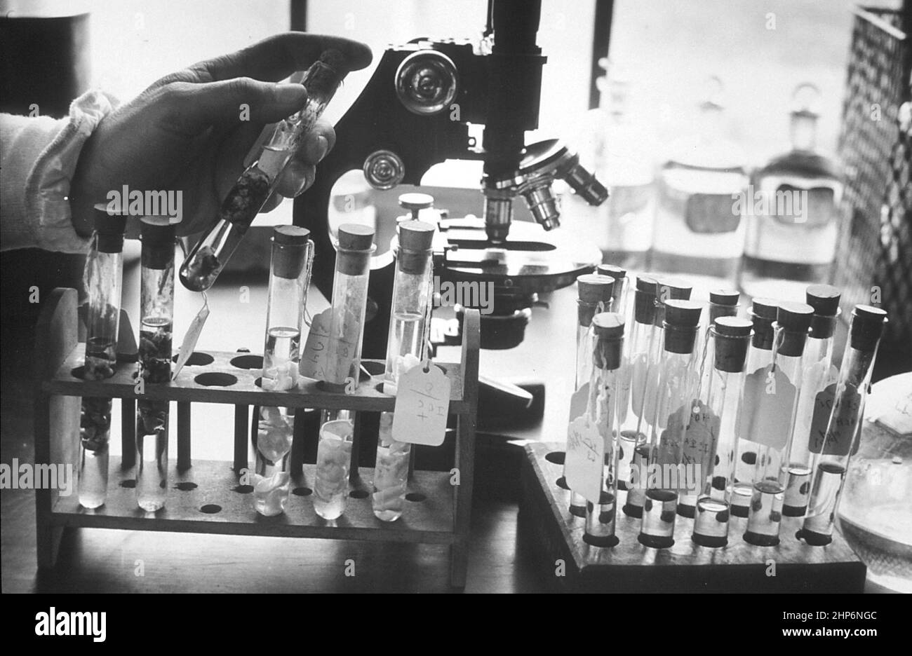 1930s national cancer institute hi-res stock photography and images - Alamy