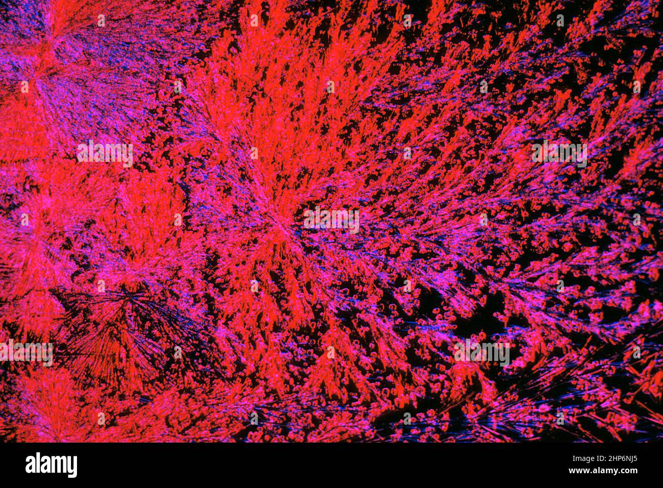 Cisplatin crystals, which is a platinum compound, and used as a ...