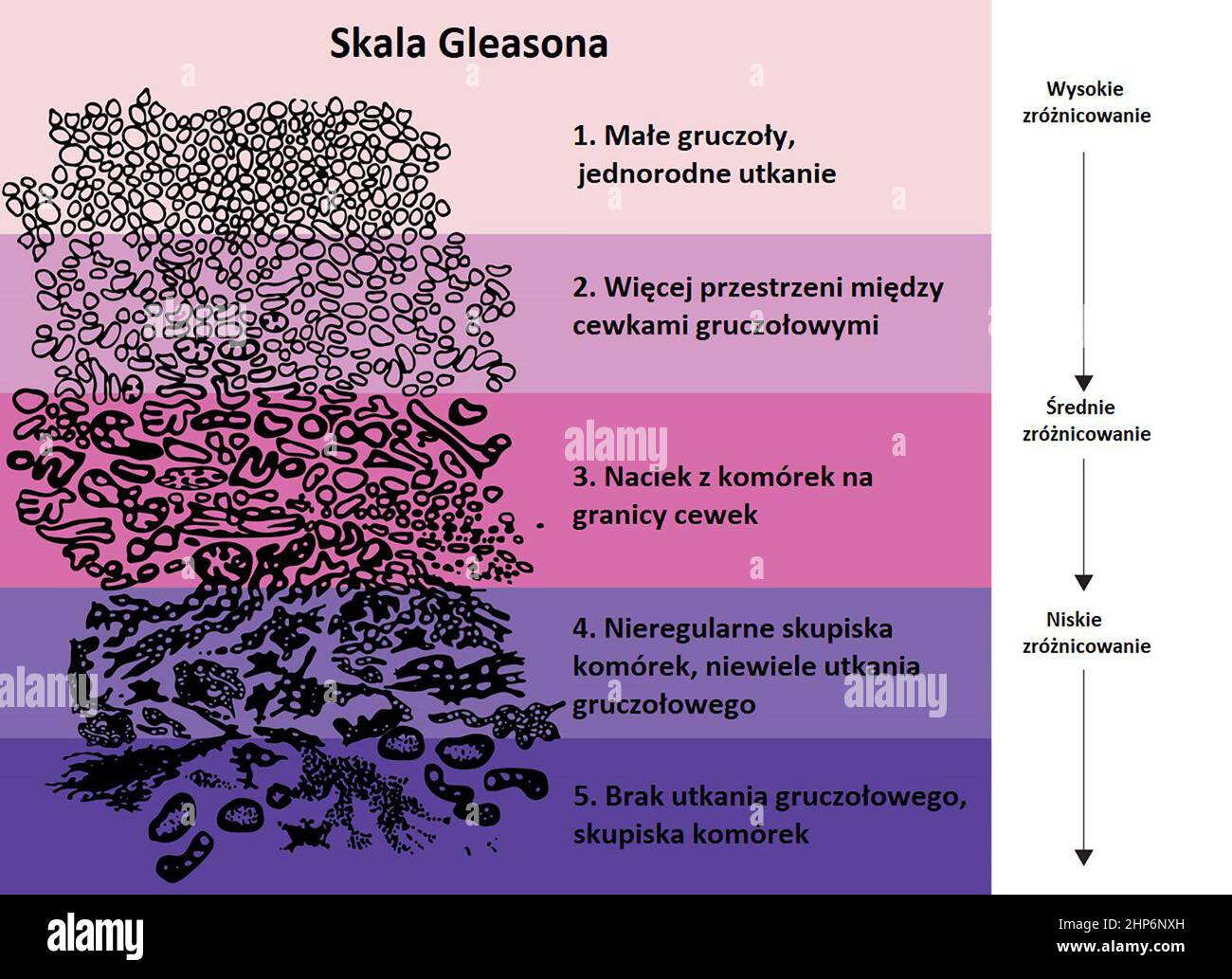 Skala Gleasona ca. August 30 2018 Stock Photo - Alamy