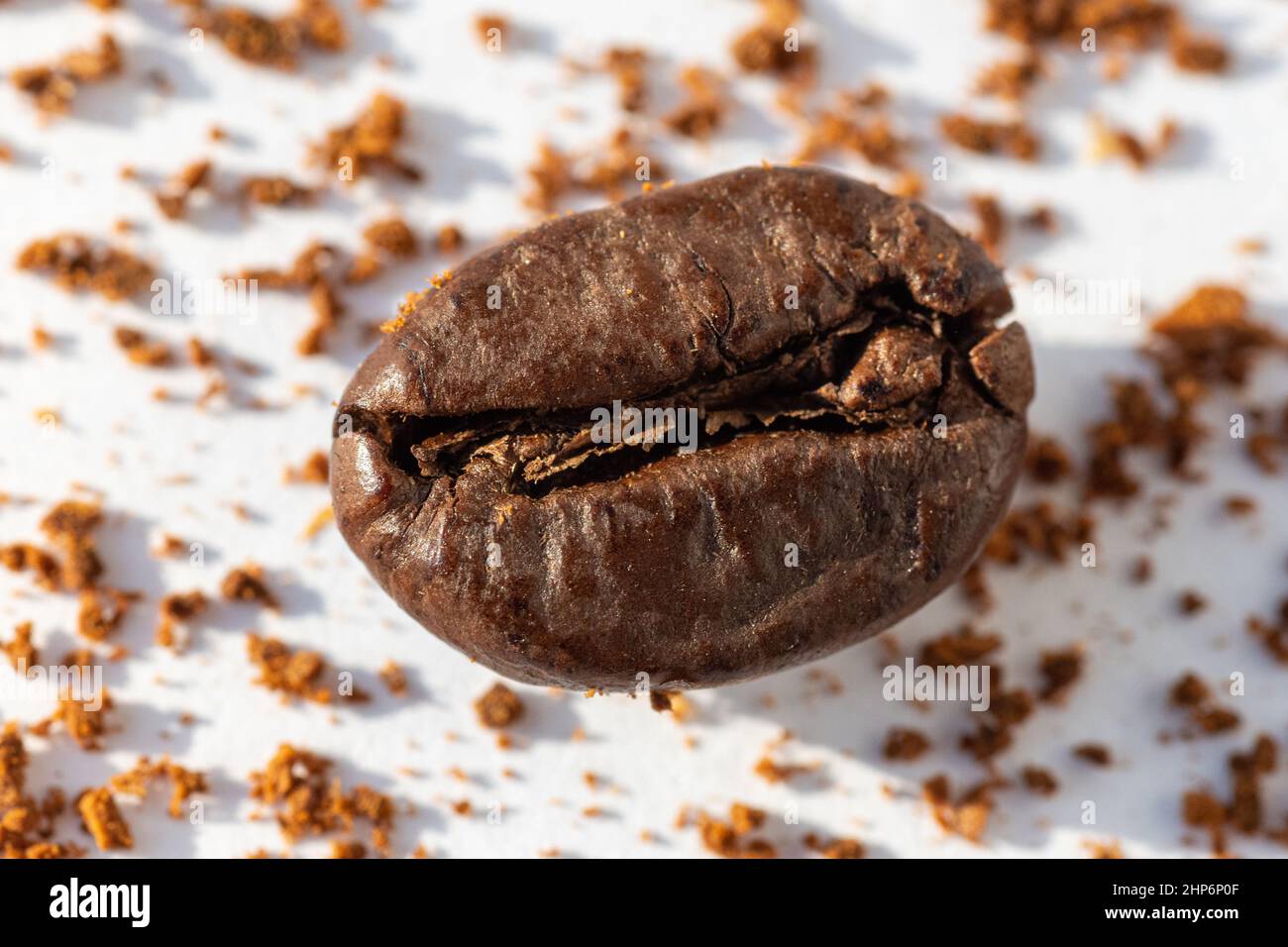 Robust coffee bean on the background of ground coffee on a white ...