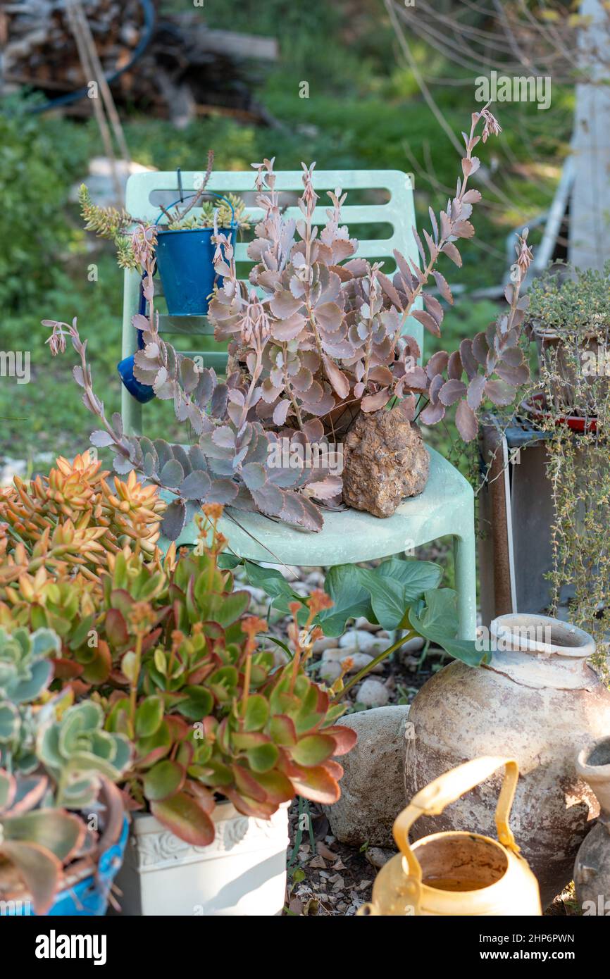 Recycled garden design,circular economy, upcycling, diy and sustainable ...