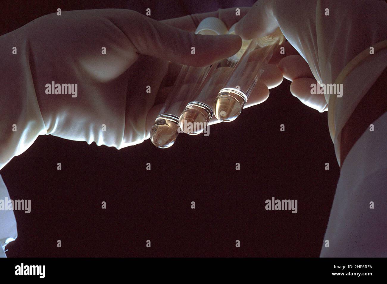 Holding three test tubes hi-res stock photography and images - Alamy