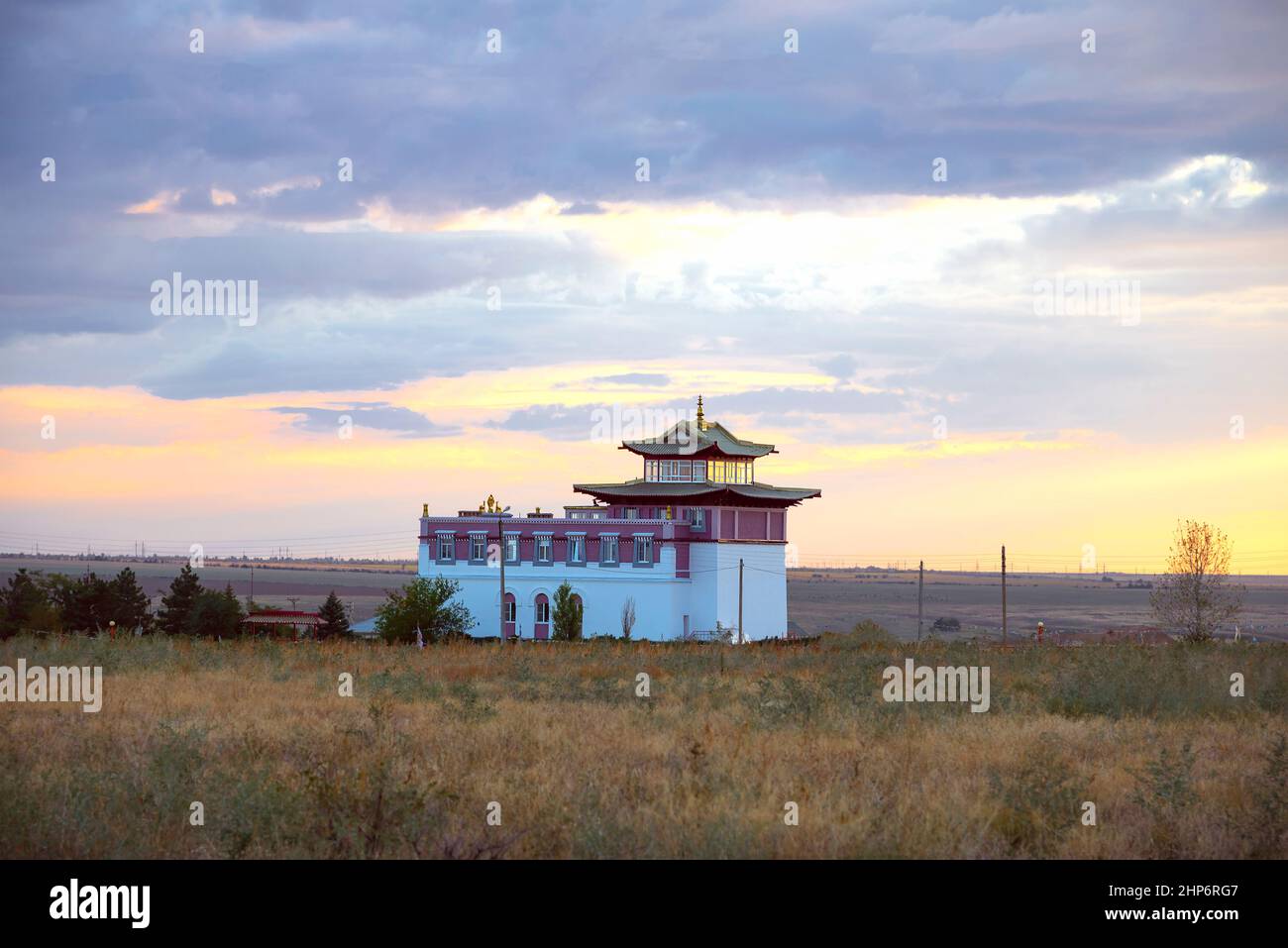Geden sheddup choy korling hi-res stock photography and images - Alamy
