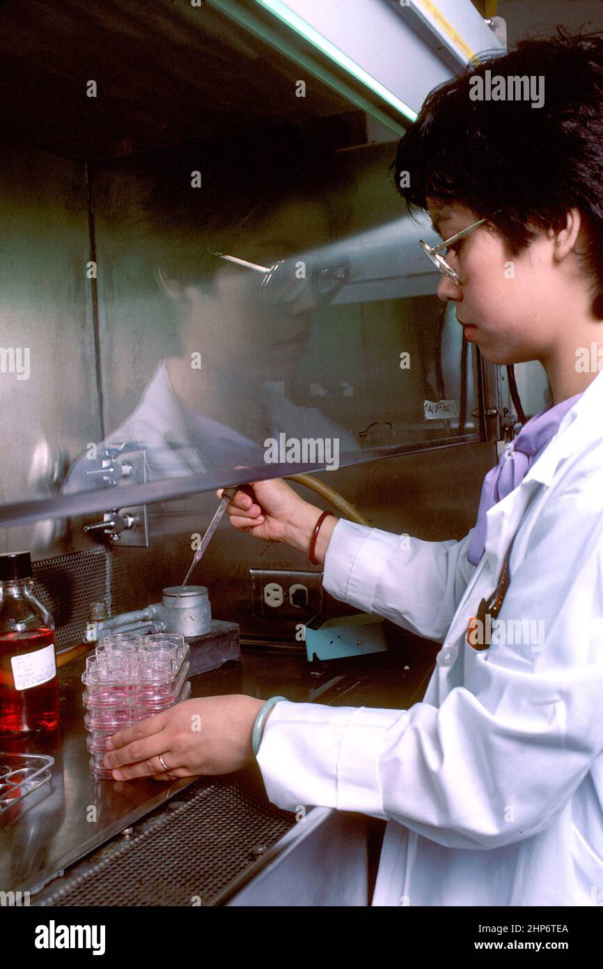 Seen is an Asian female lab technician performing a step in the ...