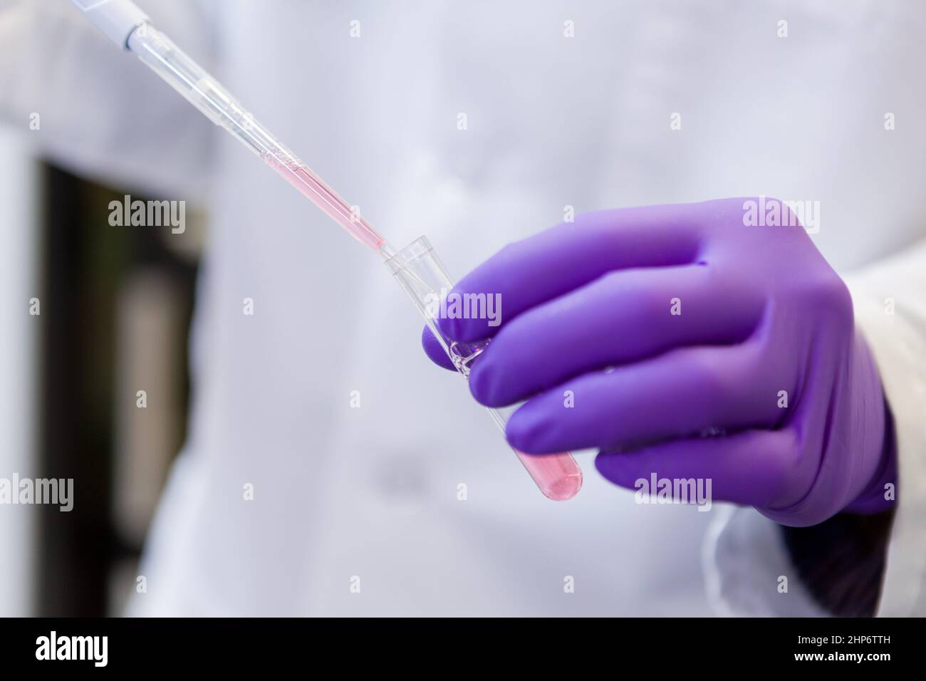 Dr benjamin stanton hi-res stock photography and images - Alamy
