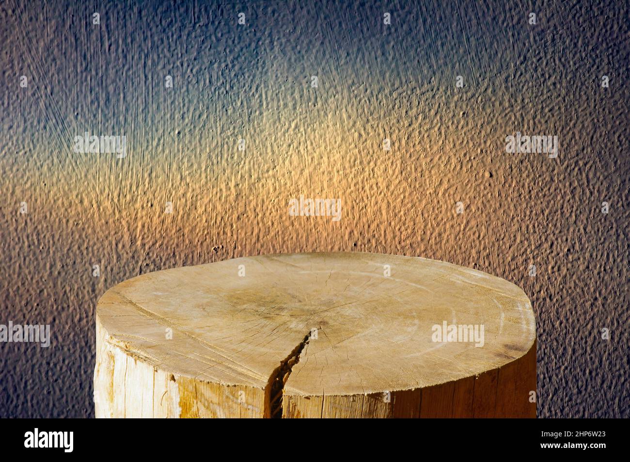 Round wooden saw cut cylinder shape mockup for product display, in ...