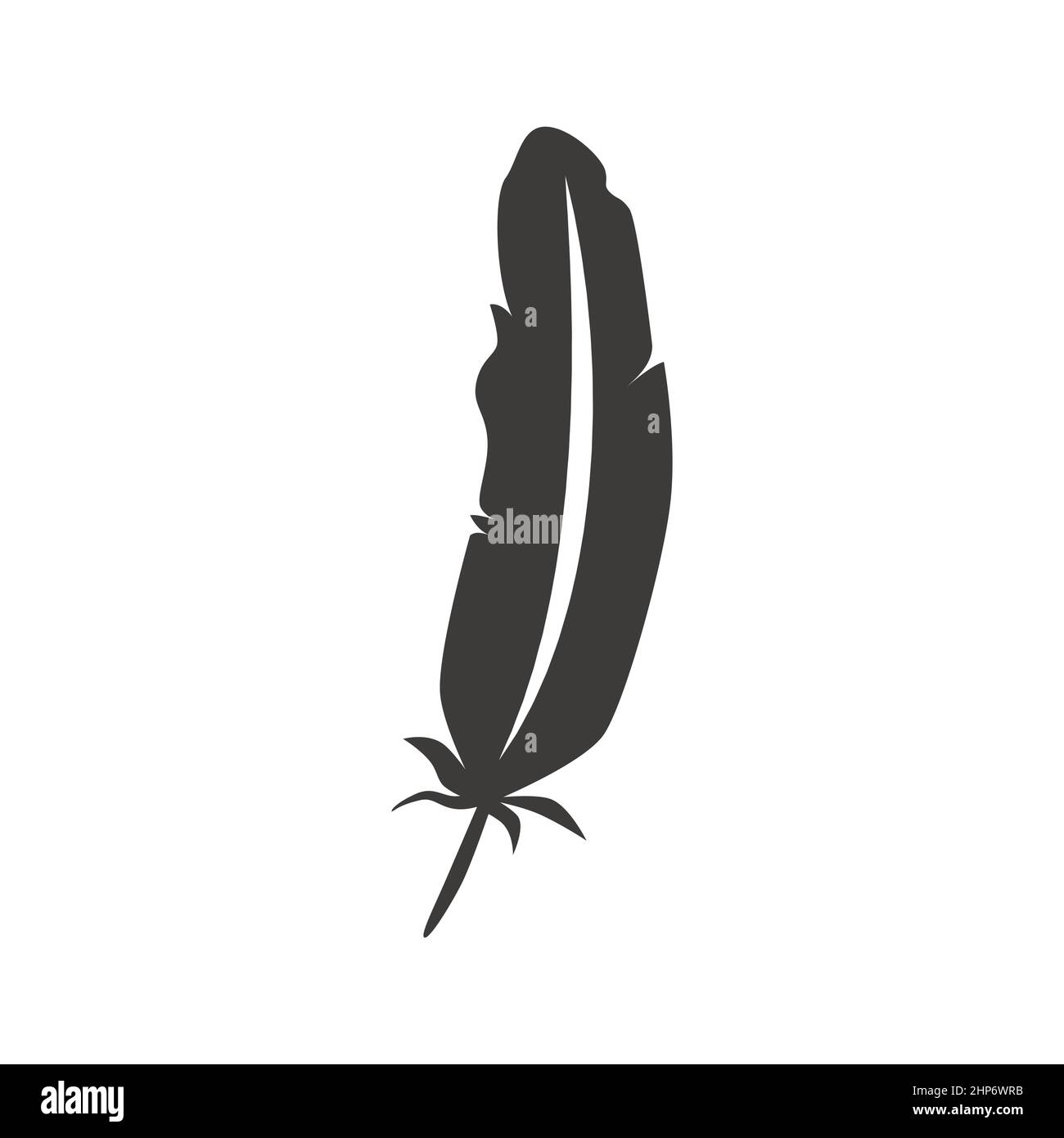 Bird feather vector hi-res stock photography and images - Alamy