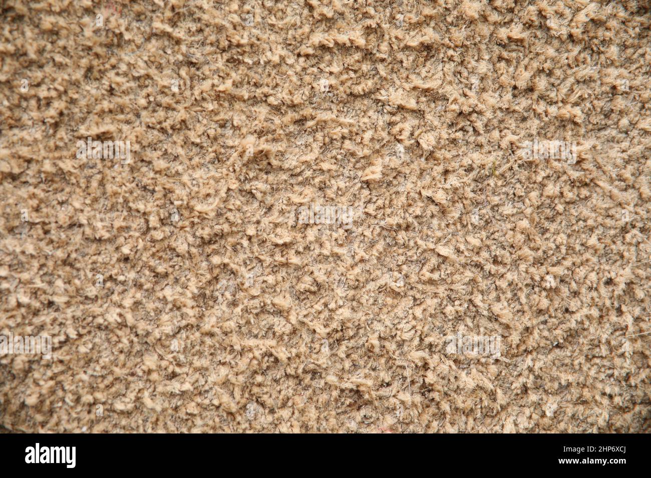 Beige background texture of hard carpet. Floor covering sample. The ...