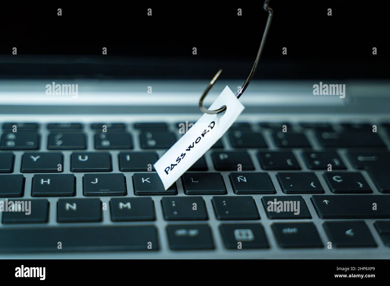Fishhook stealing a piece of paper with the word Password on it on top of a laptop keyboard ...