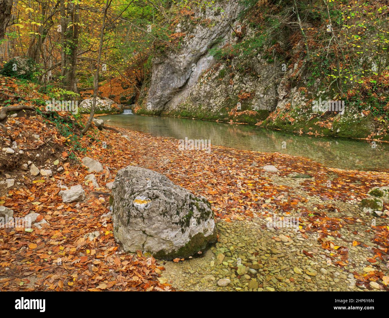 Forest river flow hi-res stock photography and images - Alamy