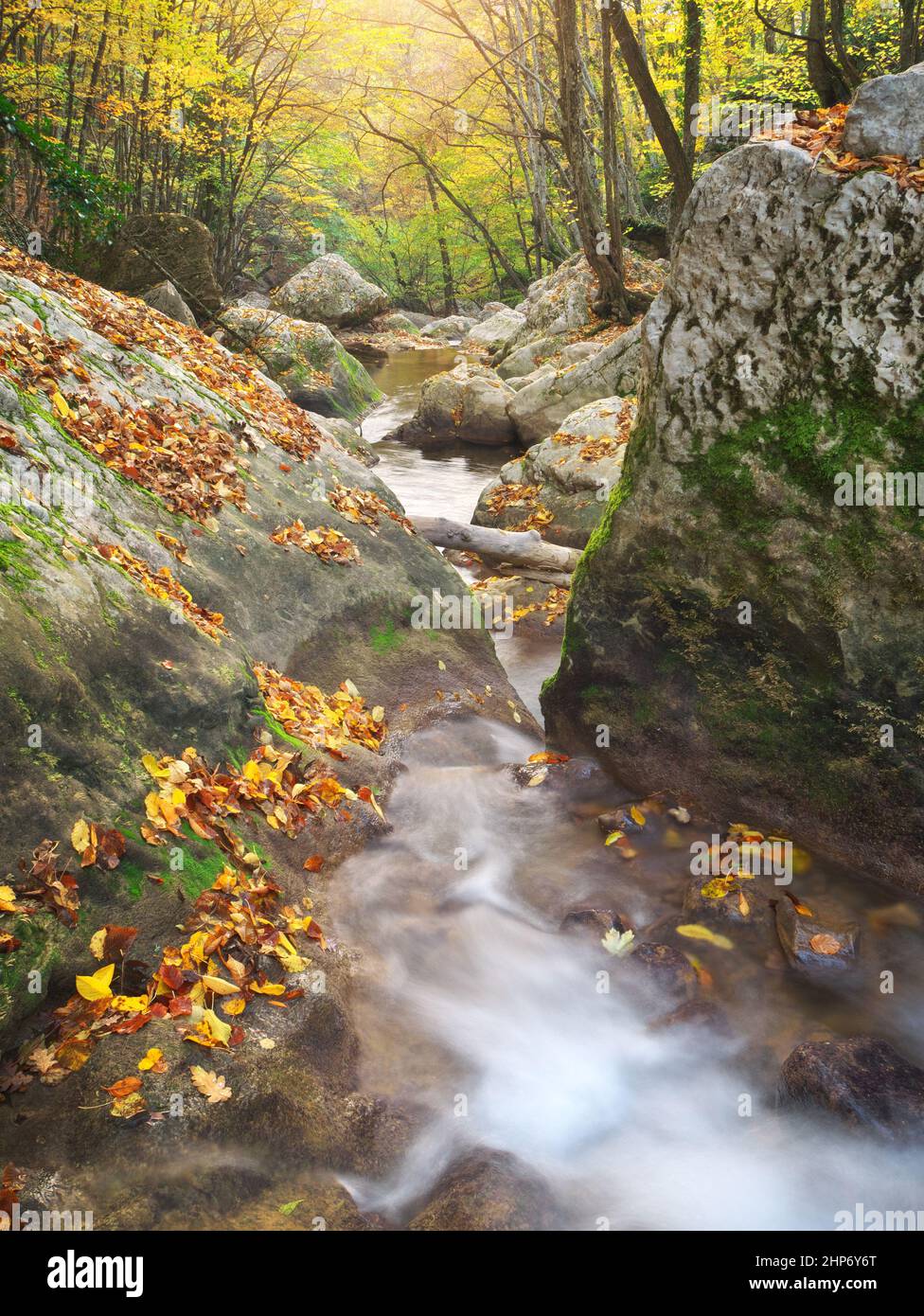 Autmn rill flow. Nature landscape composition Stock Photo - Alamy