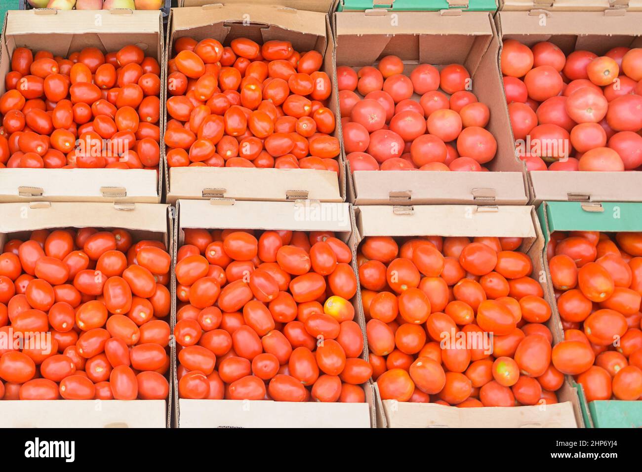 Fresh tomatoes packed in hi-res stock photography and images - Alamy