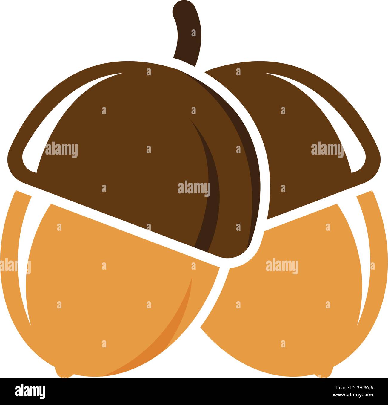 oak acorn vector illustration design Stock Vector Image & Art - Alamy